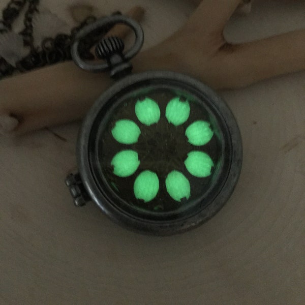 Glow in the Dark Locket - Etsy