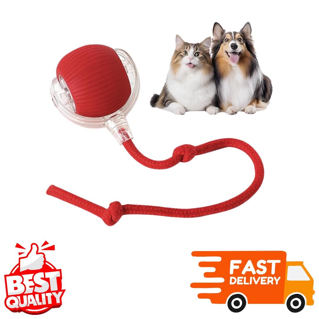 Interactive Smart Rolling Ball Toy for Dogs & Cats - Rechargeable ...