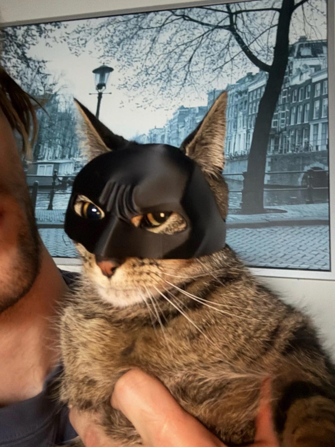 Batman Cat Mask STL - 3D Printable Model for Cosplay & Collectibles - Etsy