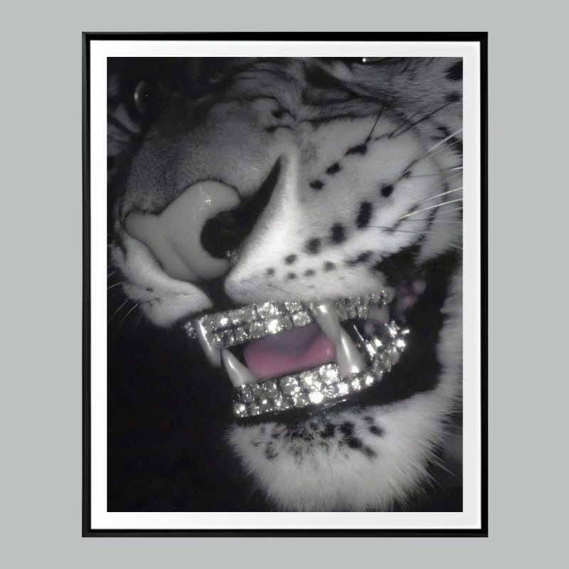 Tiger With Grill - Etsy