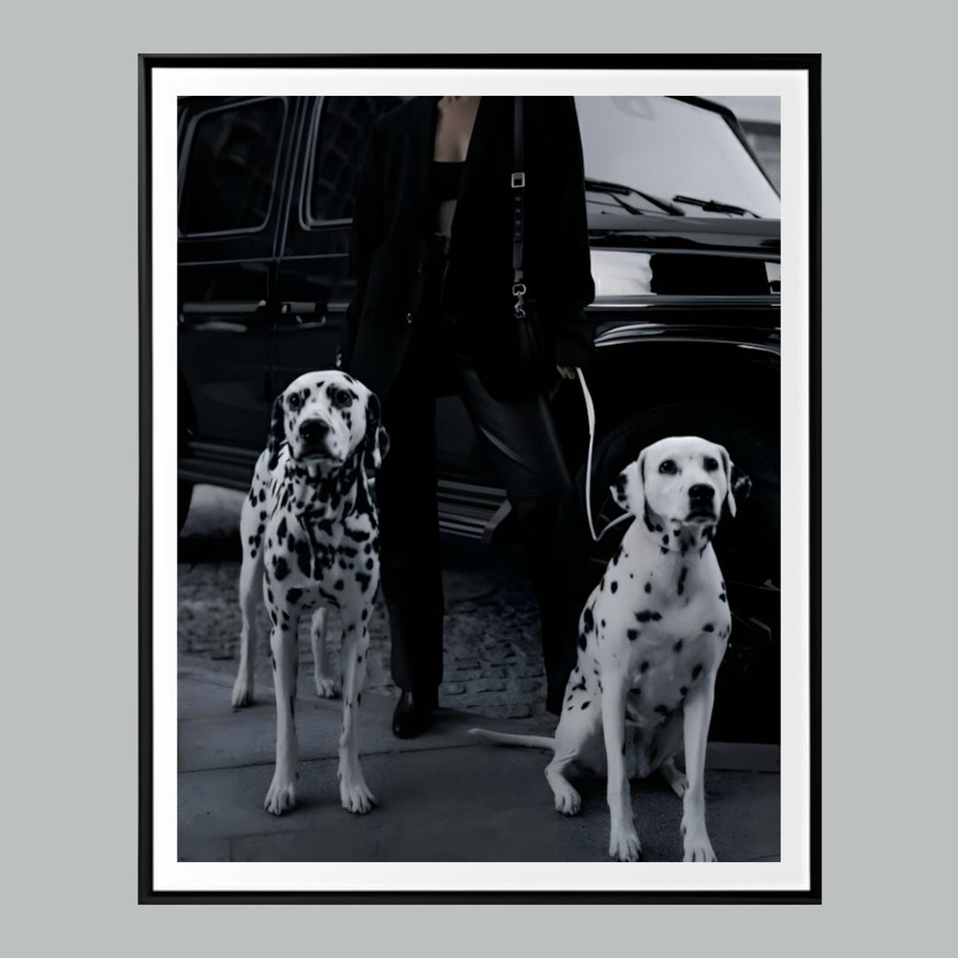Luxury Woman With Dalmatian Dog Print, Black and White, Designer Poster ...
