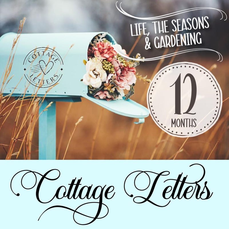 Print Snail Mail Decor - Etsy UK