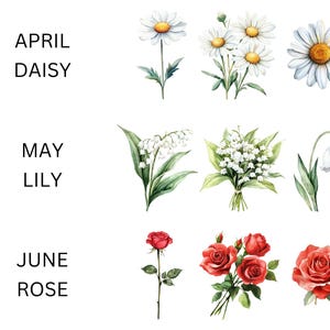 Watercolor Birth Month Flowers Clipart | 36 PNG Floral Illustrations ...