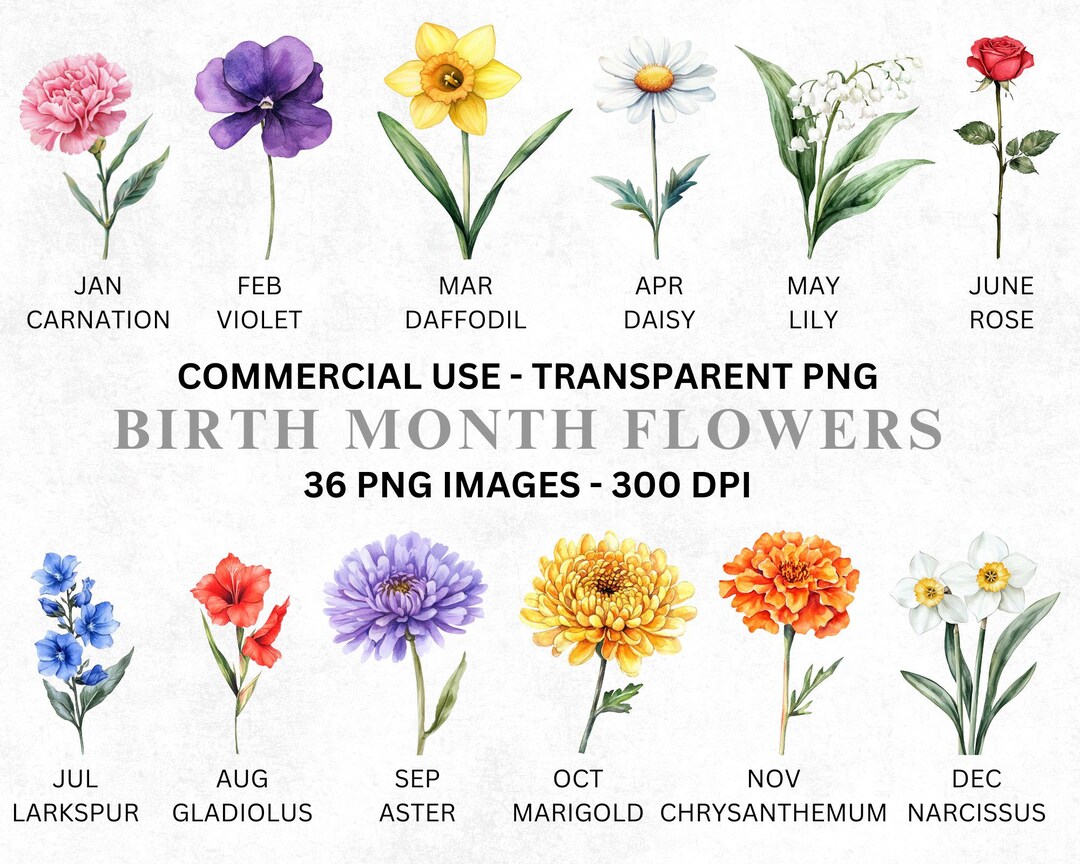Watercolor Birth Month Flowers Clipart | 36 PNG Floral Illustrations ...