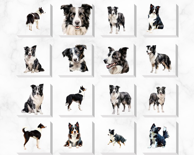 Watercolor Dog Breeds Clipart Dog Breeds Clipart Bundle Mixed Dog ...