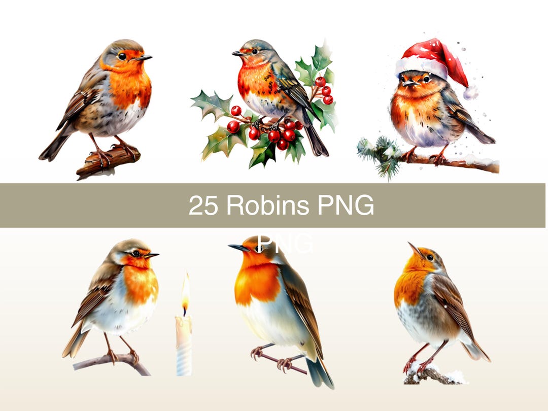 Robin Bird Clipart Set | 25 Christmas & Winter Robins PNG | Watercolor ...