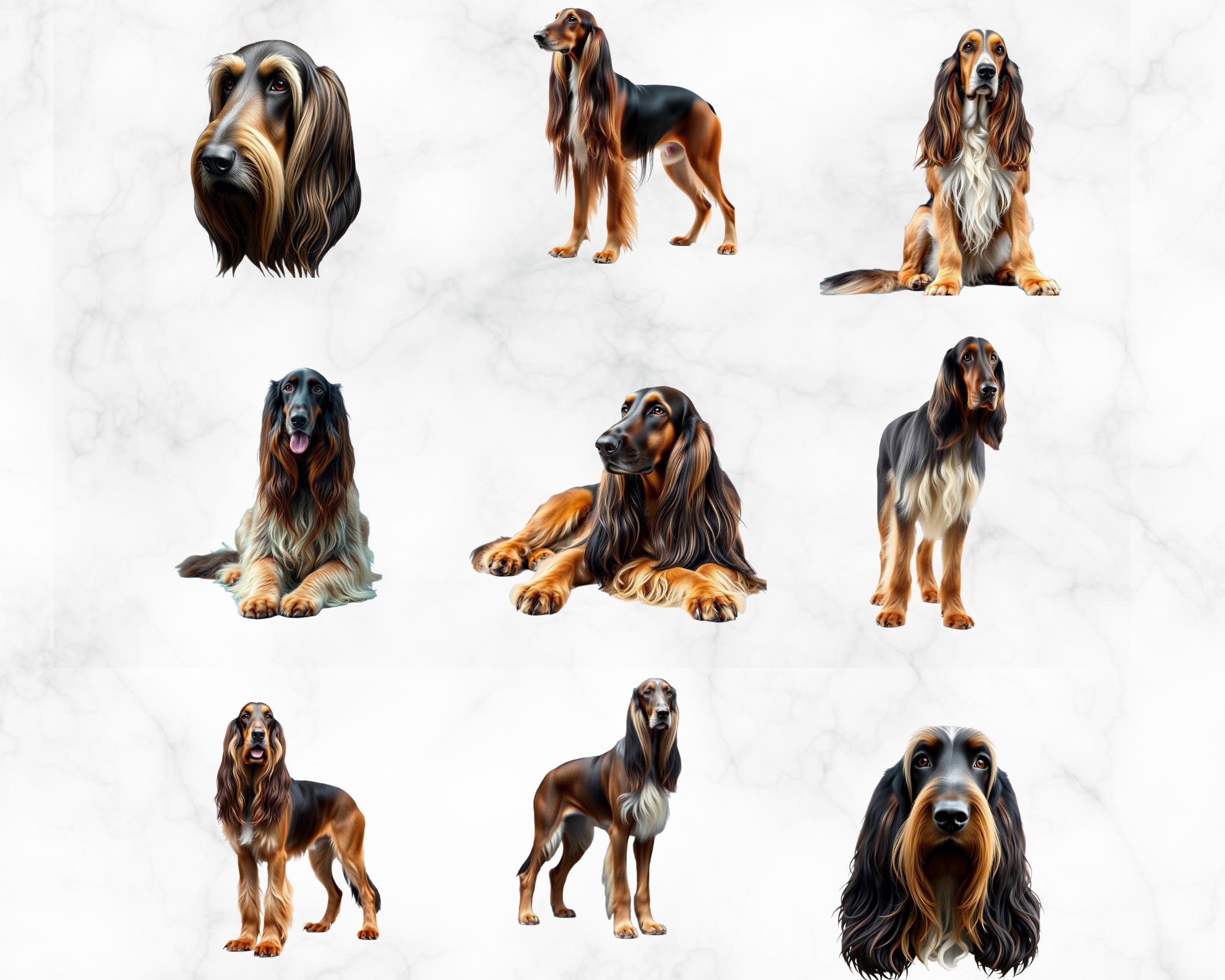 Watercolor Dog Breeds Clipart Dog Breeds Clipart Bundle Mixed Dog ...