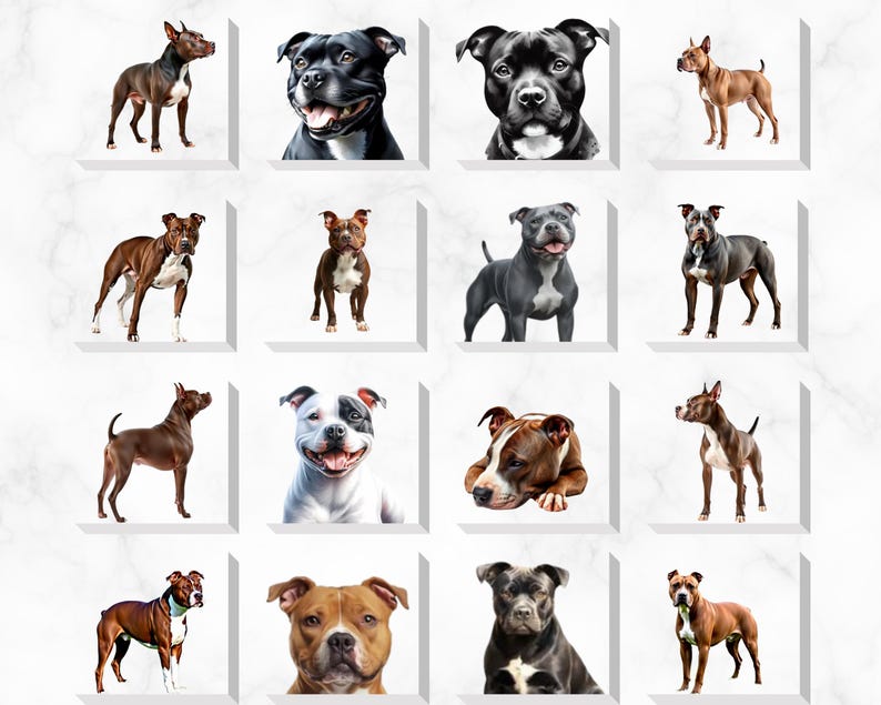 Watercolor Dog Breeds Clipart Dog Breeds Clipart Bundle Mixed Dog ...