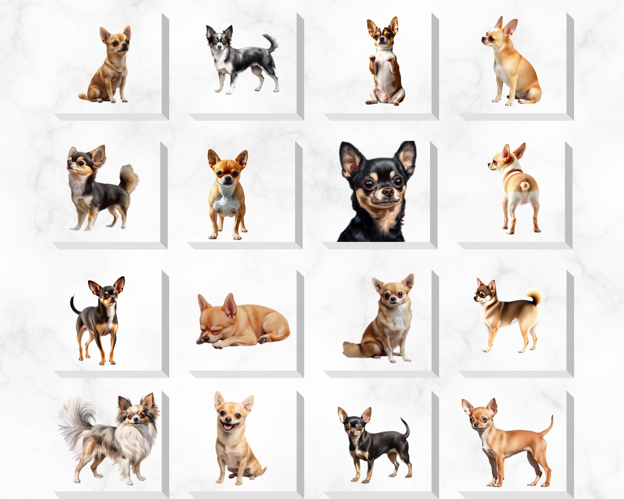 Watercolor Dog Breeds Clipart Dog Breeds Clipart Bundle Mixed Dog ...