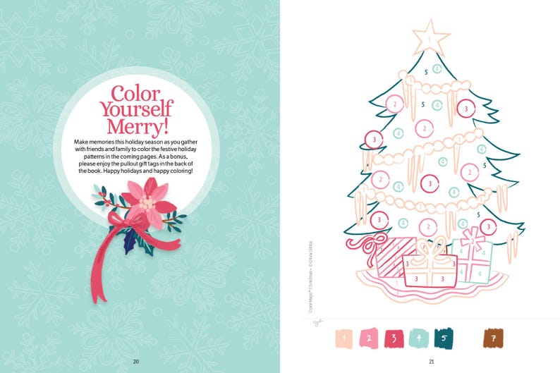 Colormaps Christmas: Color-coded Patterns Adult Coloring Book - Etsy