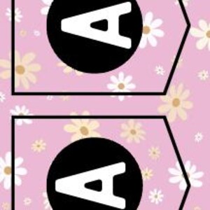 Editable Pink Classroom Decor: Schedule, Bulletin Board Banners ...