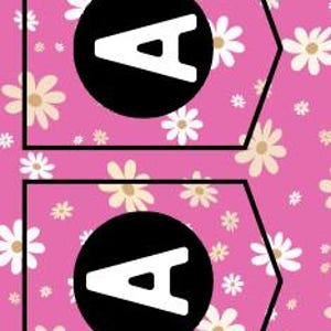 Editable Pink Classroom Decor: Schedule, Bulletin Board Banners ...