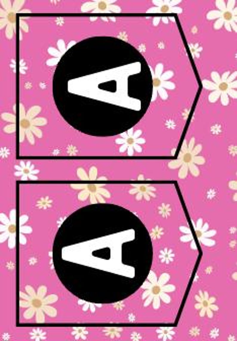 Editable Pink Classroom Decor: Schedule, Bulletin Board Banners ...
