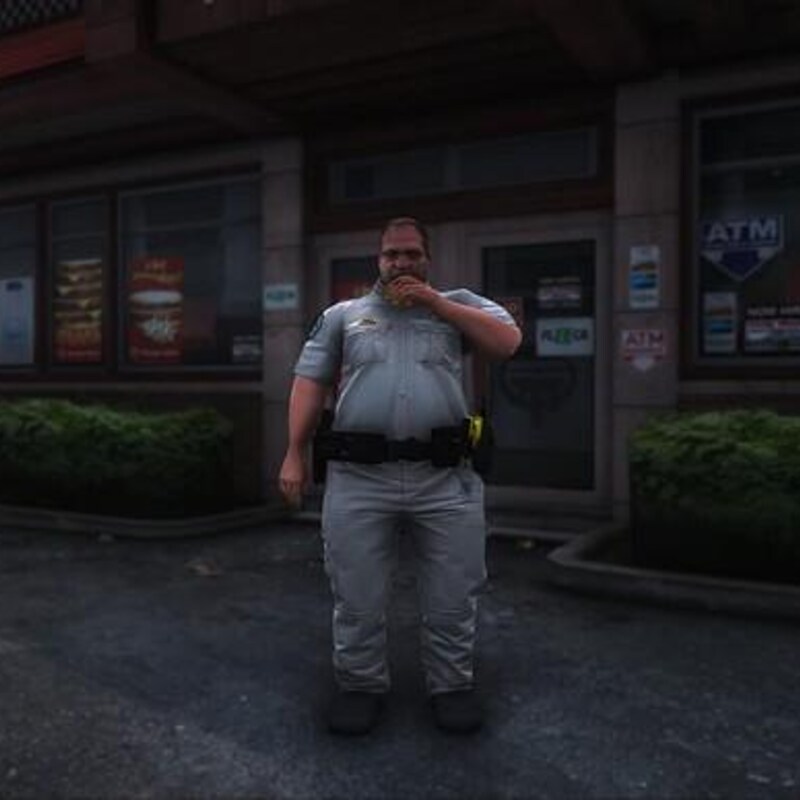 Custom Peds Fivem - Etsy