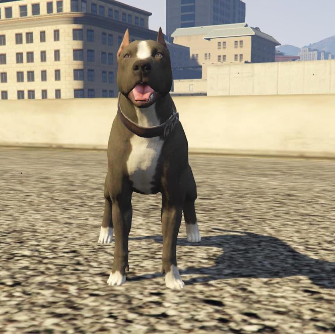 Dog PED - Fivem Roleplay Server Addon - Etsy UK