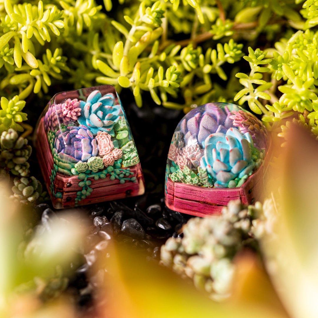 Terrarium V2 Artisan Keycap – Handmade Resin Succulent Keyboard Art - Etsy