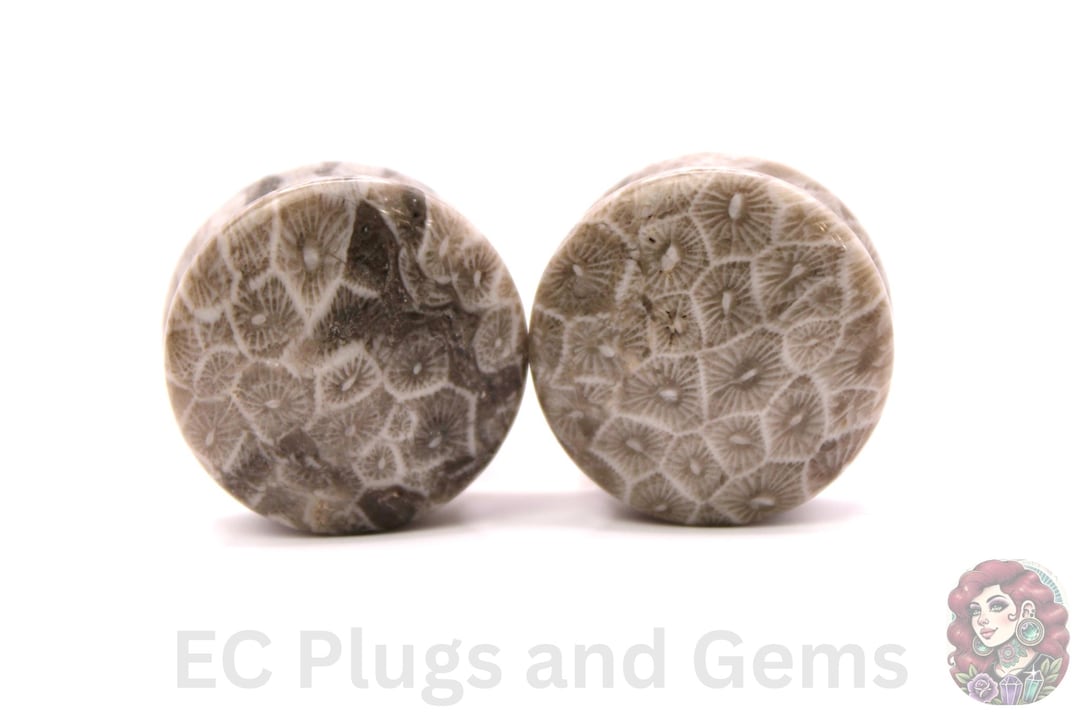 Indonesian Fossilized Coral Plugs Double Flared PAIR 5mm-32mm - Etsy