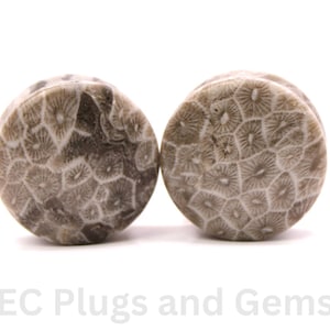 Indonesian Fossilized Coral Plugs Double Flared PAIR 5mm-32mm - Etsy
