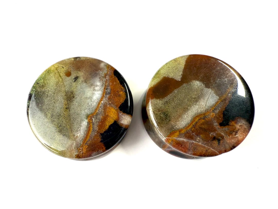 Polychrome Desert Jasper Double Flare Plugs - 25mm 1inch One of a Kind ...