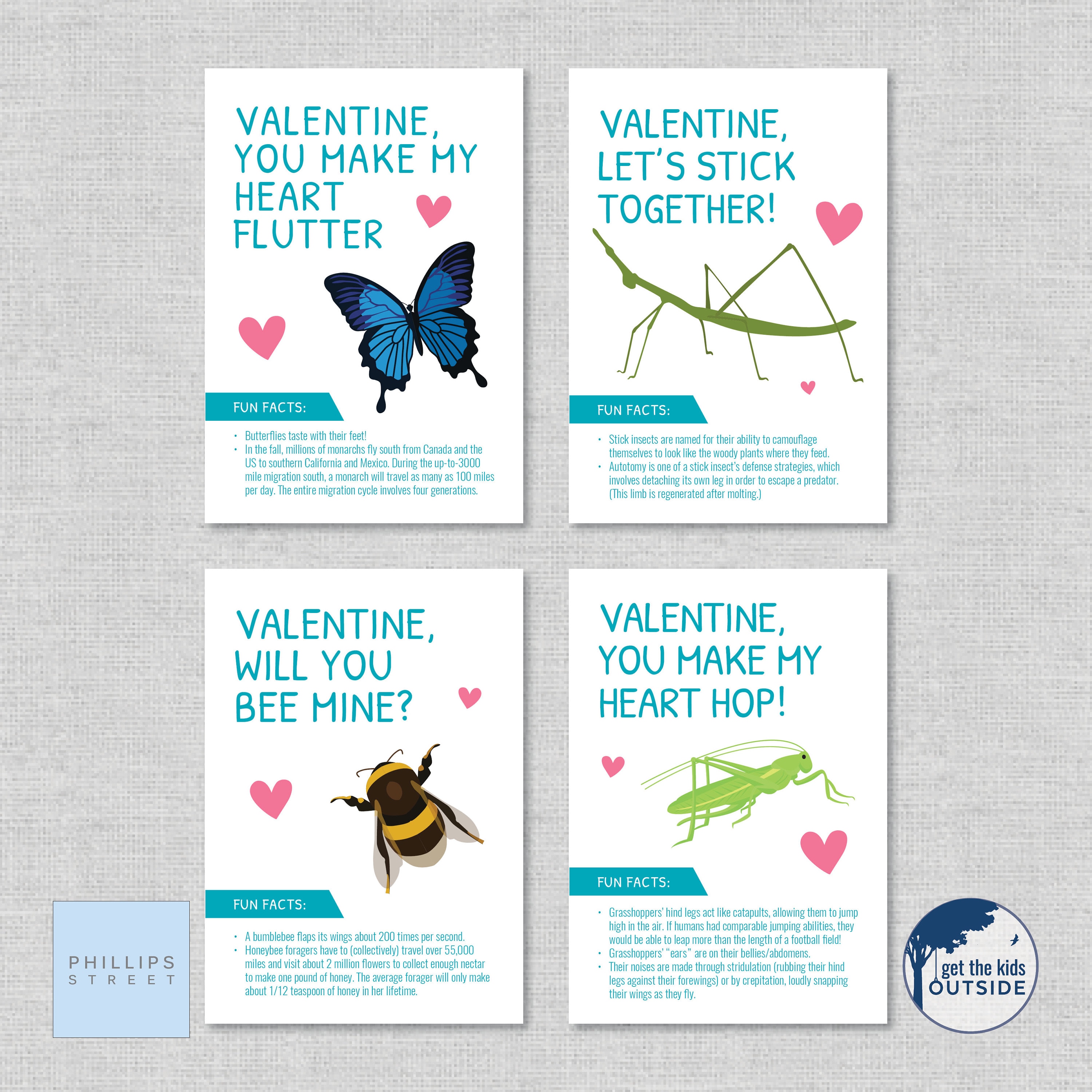 Printable INSECT Valentine's Day Cards . Kids Valentines . Fun Facts ...