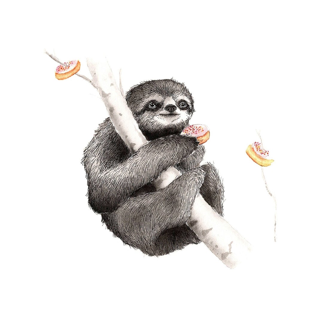 Limited Edition Doughnut Sloth - Etsy