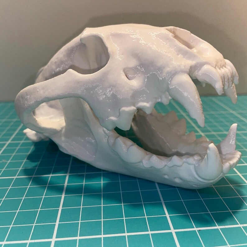 Wolverine Skull Replica Quality 3D Printed Full Size Ethical 6 1/2 Inch ...