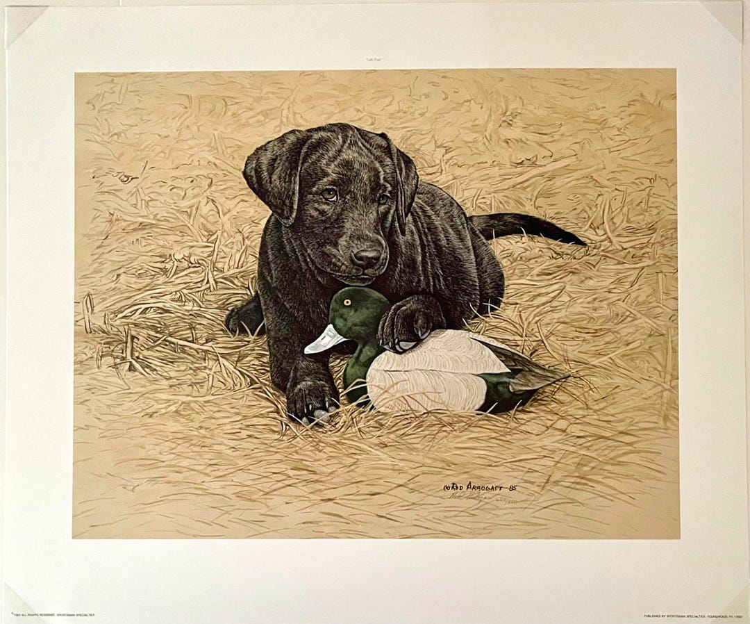 Limited Edition - Signed Lithograph - Print of Black Labrador Puppy ...
