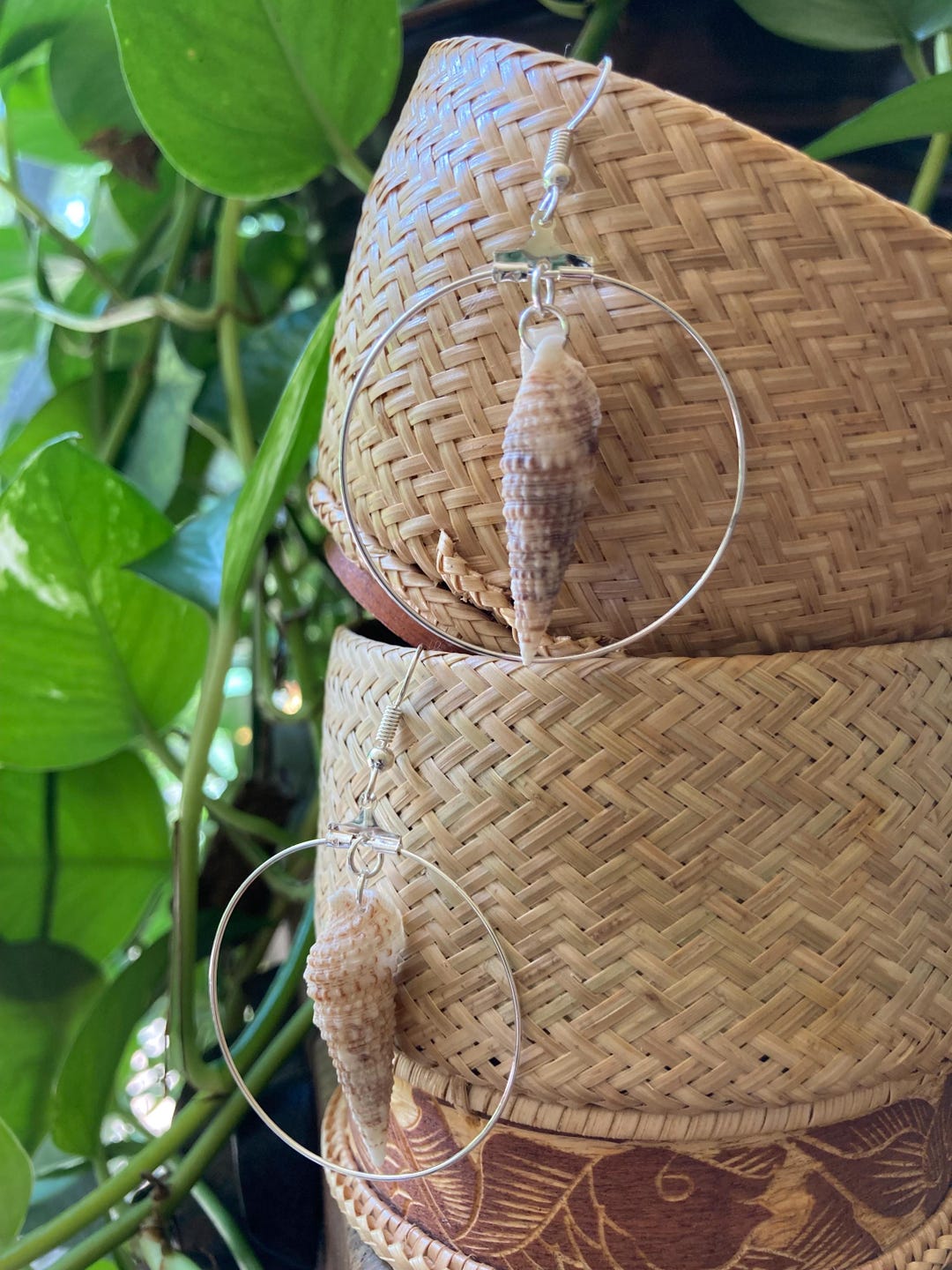 Lovely Auger Shells - Etsy