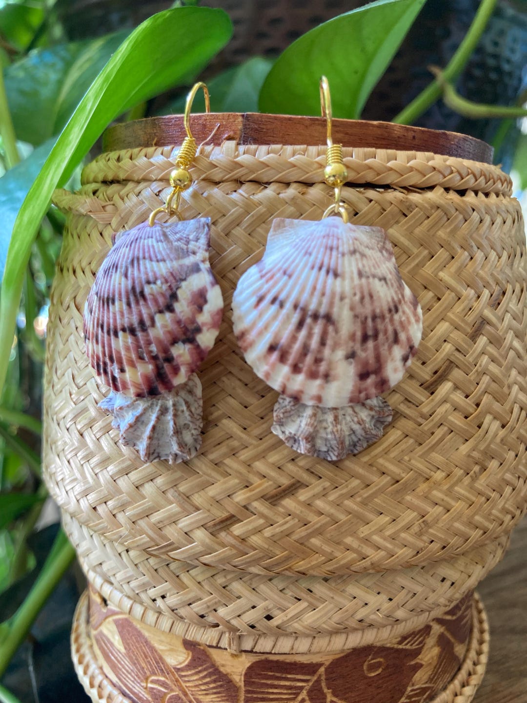 Beautiful Scallop Shell and Cats Paw Earrings - Etsy