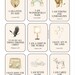 Bible Verse Affirmation Cards for Kids | Watercolor Affirmations ...