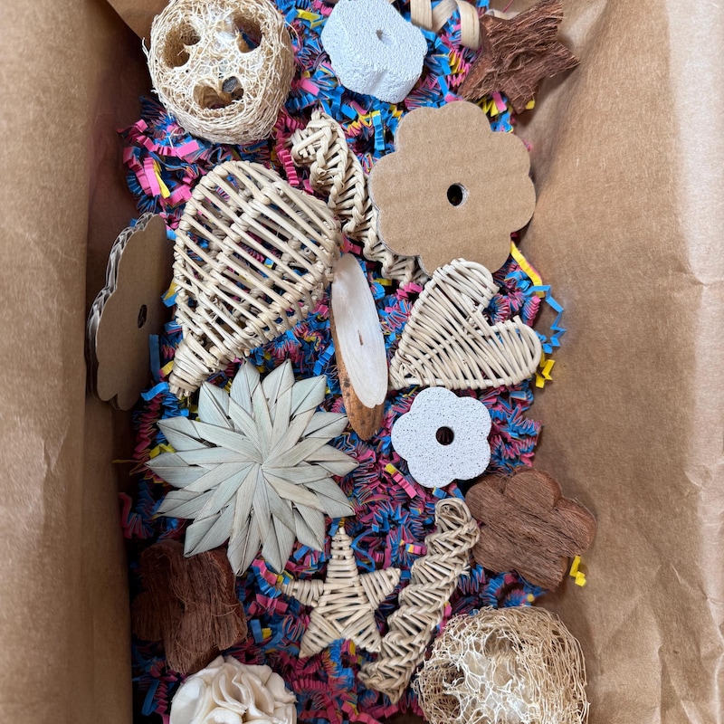 Rat Accessories and Toys - Etsy