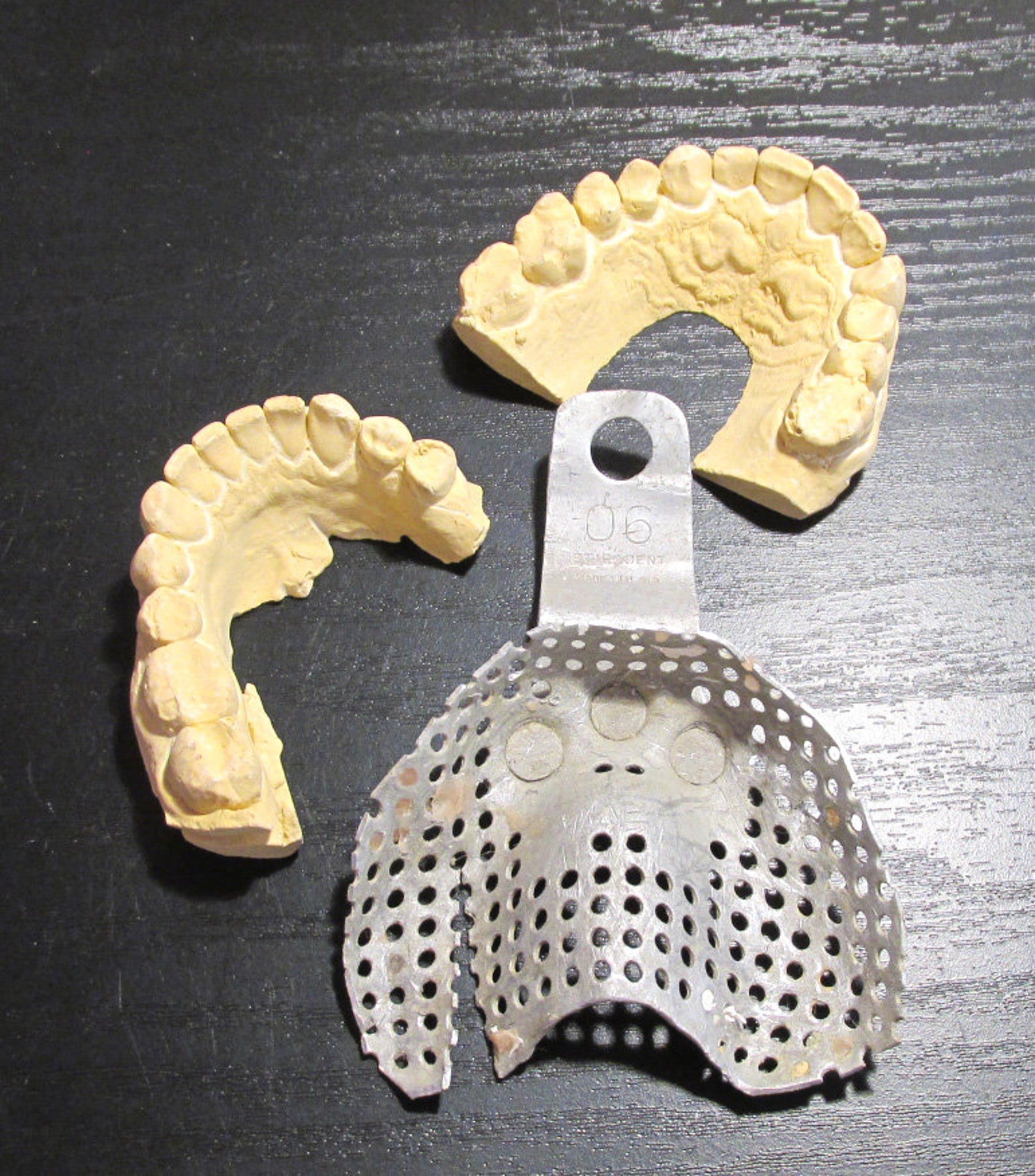 Vintage Set of Teeth Impression Mold Tray Plaster Cast of Real | Etsy