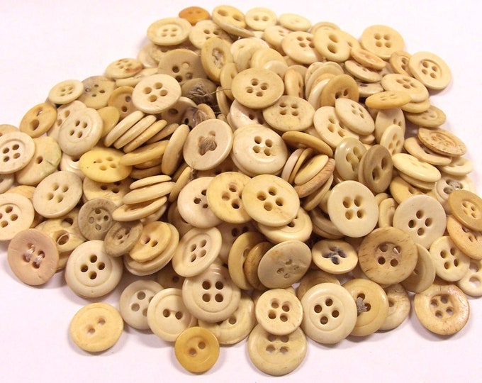 VINTAGE Buttons All BONE Buttons Antique Two Hundred Fifty (250 ...
