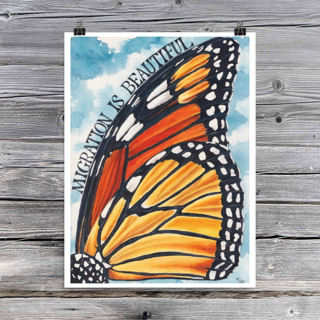 Migration is Beautiful - Monarch Butterfly - Support Immigration ...