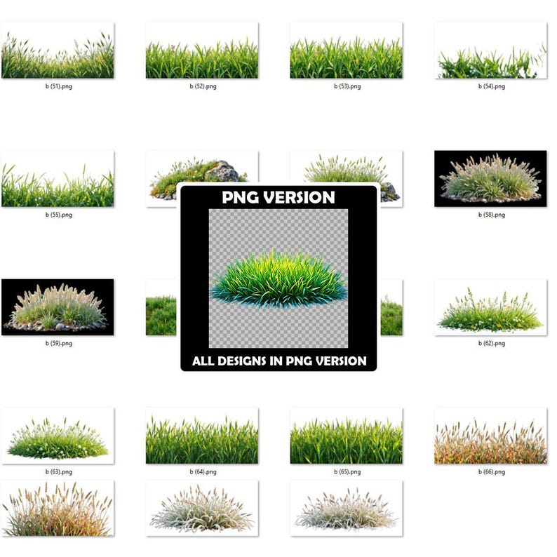 Grass Overlays/clipart Collection Green & Dry Grass PNG With ...