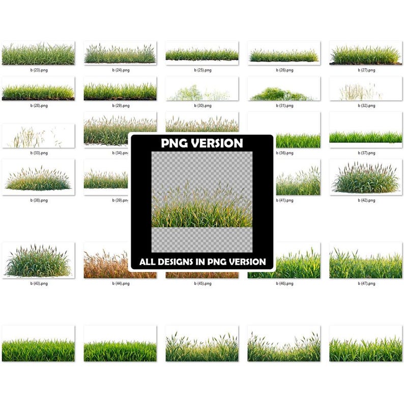 Grass Overlays/clipart Collection Green & Dry Grass PNG With ...