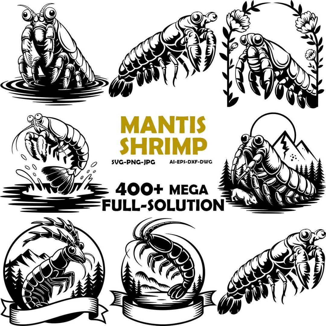 Mantis Shrimp SVG Clipart, Insect Cut File, Vector Graphics (digital ...