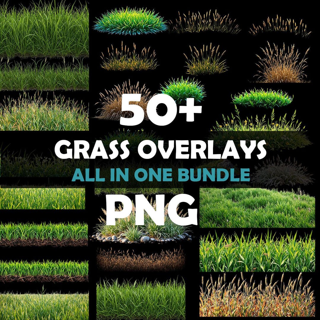Grass Overlays/clipart Collection Green & Dry Grass PNG With ...