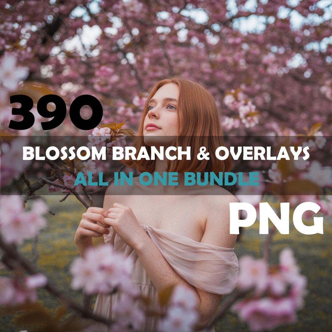 Blossom Tree Branch Overlays, Flowering Tree Branch, Cherry Blossom ...