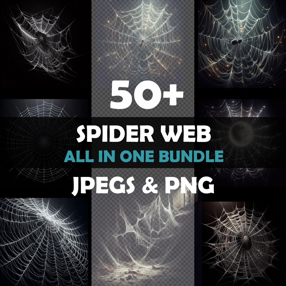 Spider Web Overlays Clipart - 100 PNG Files - Halloween Digital Art ...