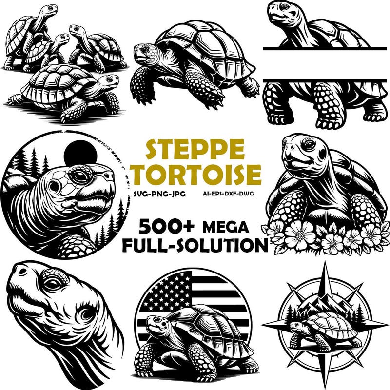 Vinyl Decals Tortoise - Etsy