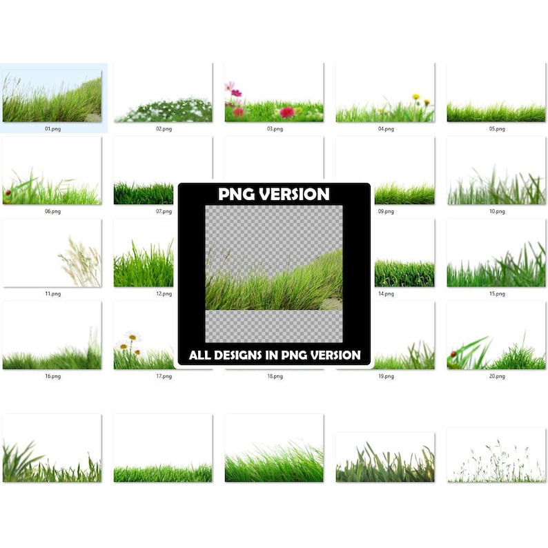 Grass Overlays/clipart Collection Green & Dry Grass PNG With ...