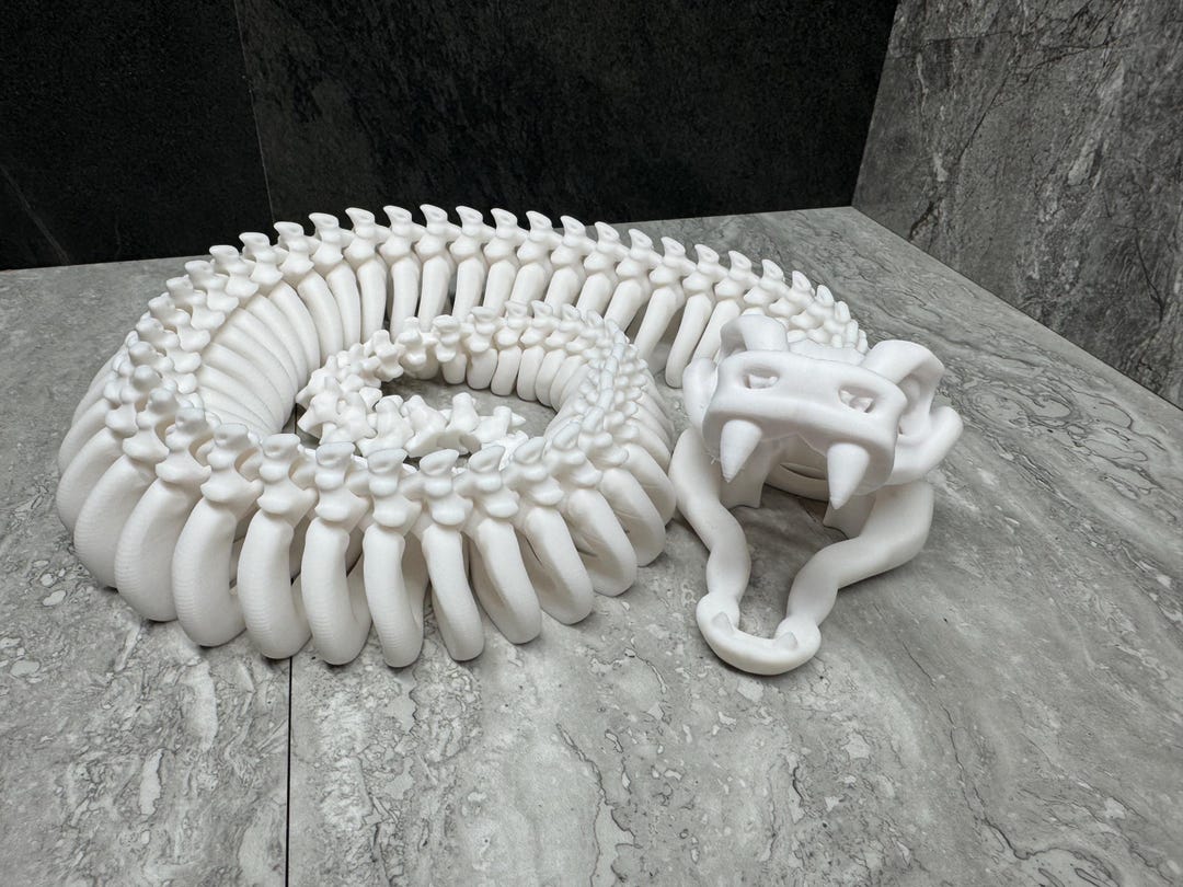 Articulating Snake Skeleton Model - Extra Large Size - Etsy
