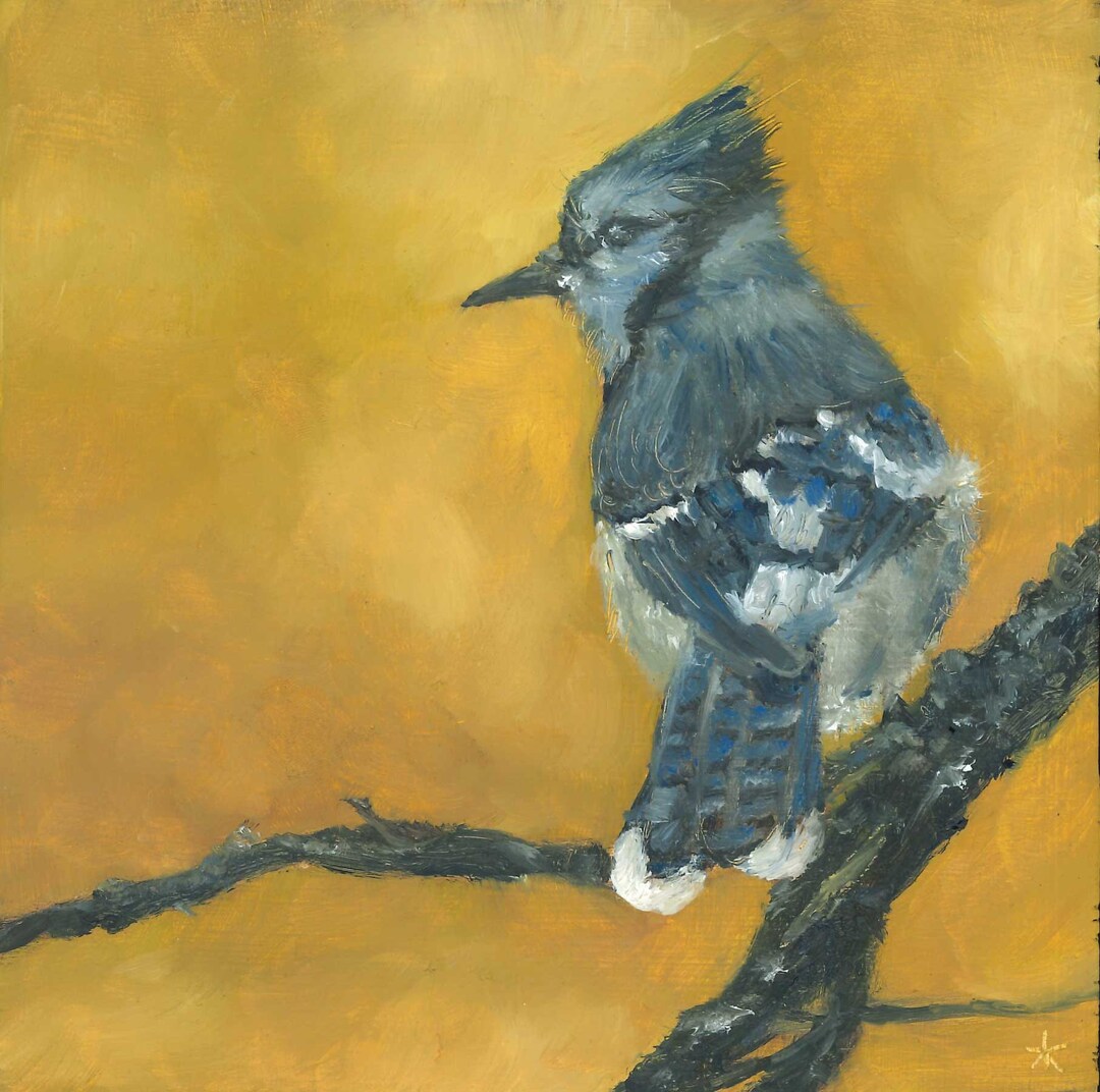 Mr Weatherby - Blue Jay Original Oil Painting - Etsy
