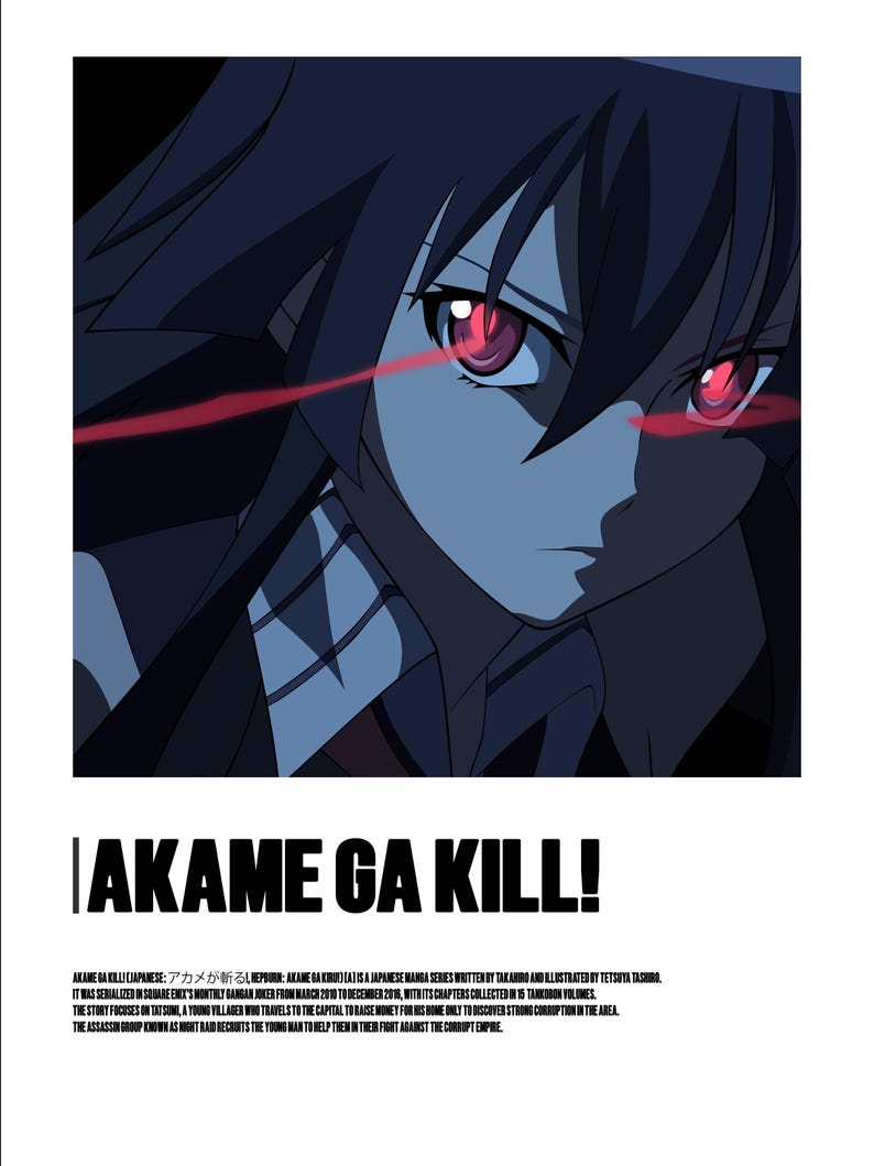 Akame Ga Kill!| Anime Poster - Etsy