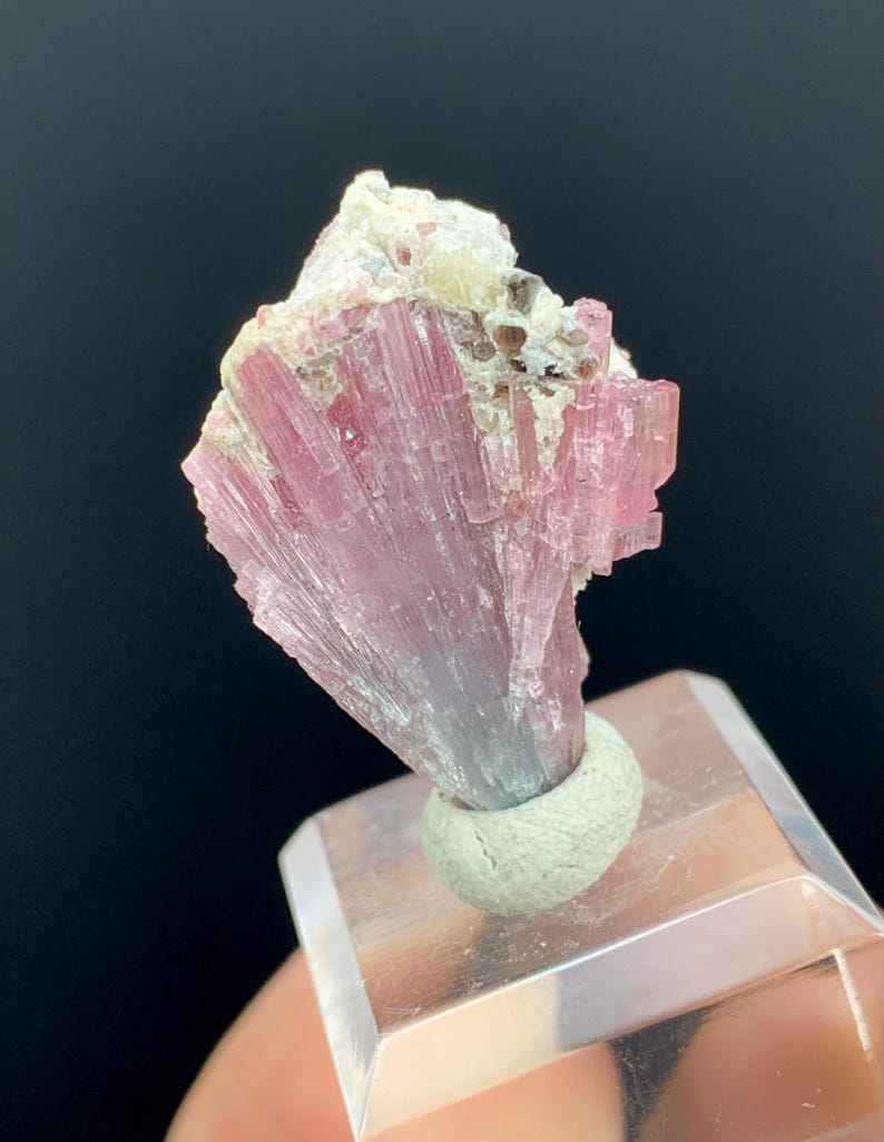 Cotton Candy Bi Color Tourmaline Crystal Spray Cluster Pink & Blue From ...