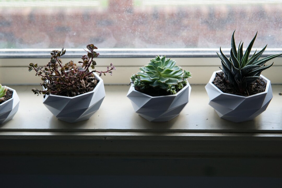 Wide Top Low Poly Planter Pot 3d Printed - Etsy