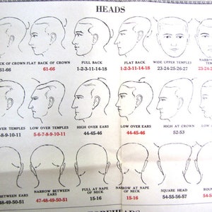Facial Chart Character Reading Physiognomy Science Facial - Etsy