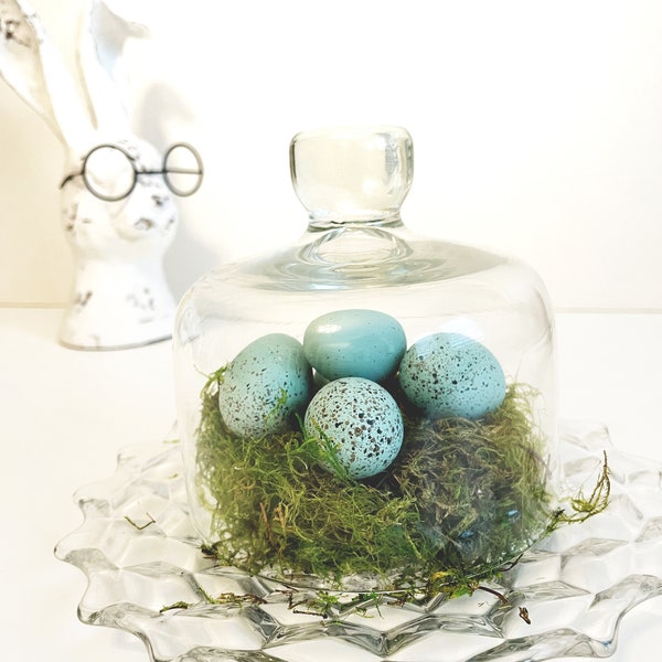 Plate and Cloche - Etsy