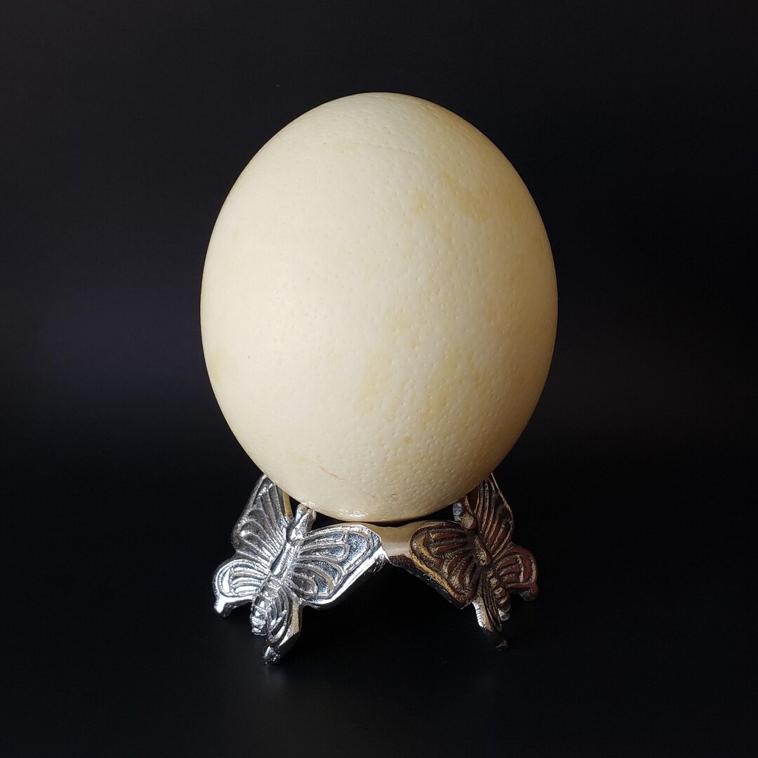 Butterfly Display Stand, Ostrich Emu Rhea Egg Display Stand, Silver ...